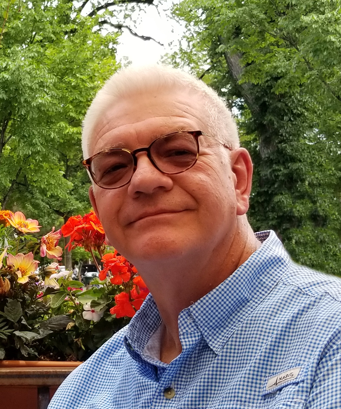 Mike Hall Tree Project