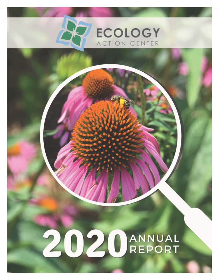 2020 Annual Reports